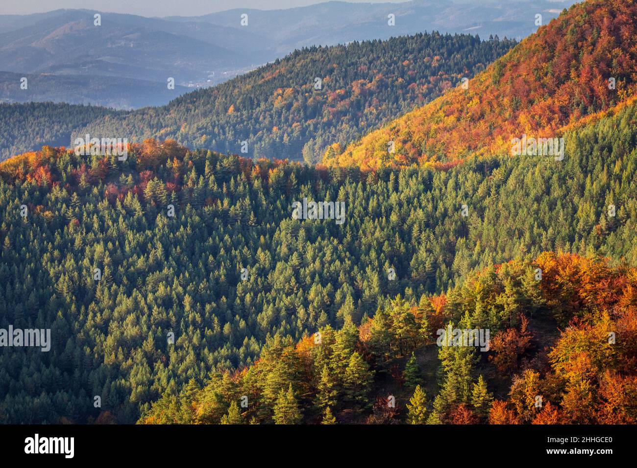 Mountain landscape with a forests in a autumn colors, The Sulov Rocks ...