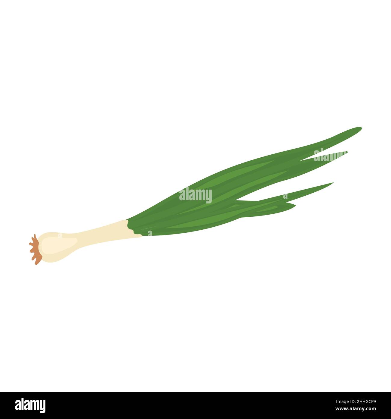 Green onion vector illustration on a white background Stock Vector ...