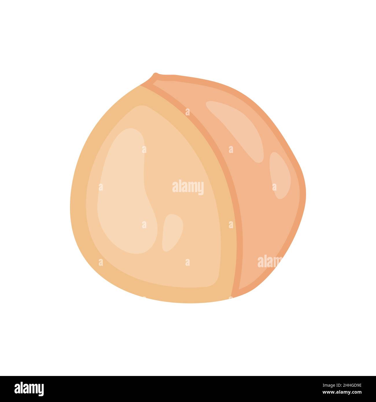 Isolated on white are pine nuts in shell and a vector flat material ...