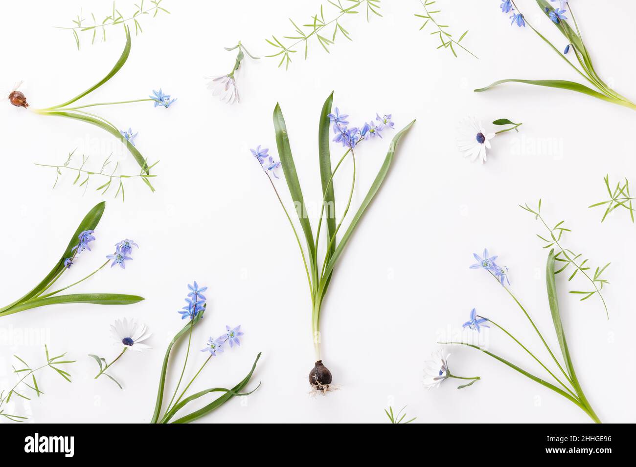 Spring frame of small flowers and daisy, floral arrangement Stock Photo ...