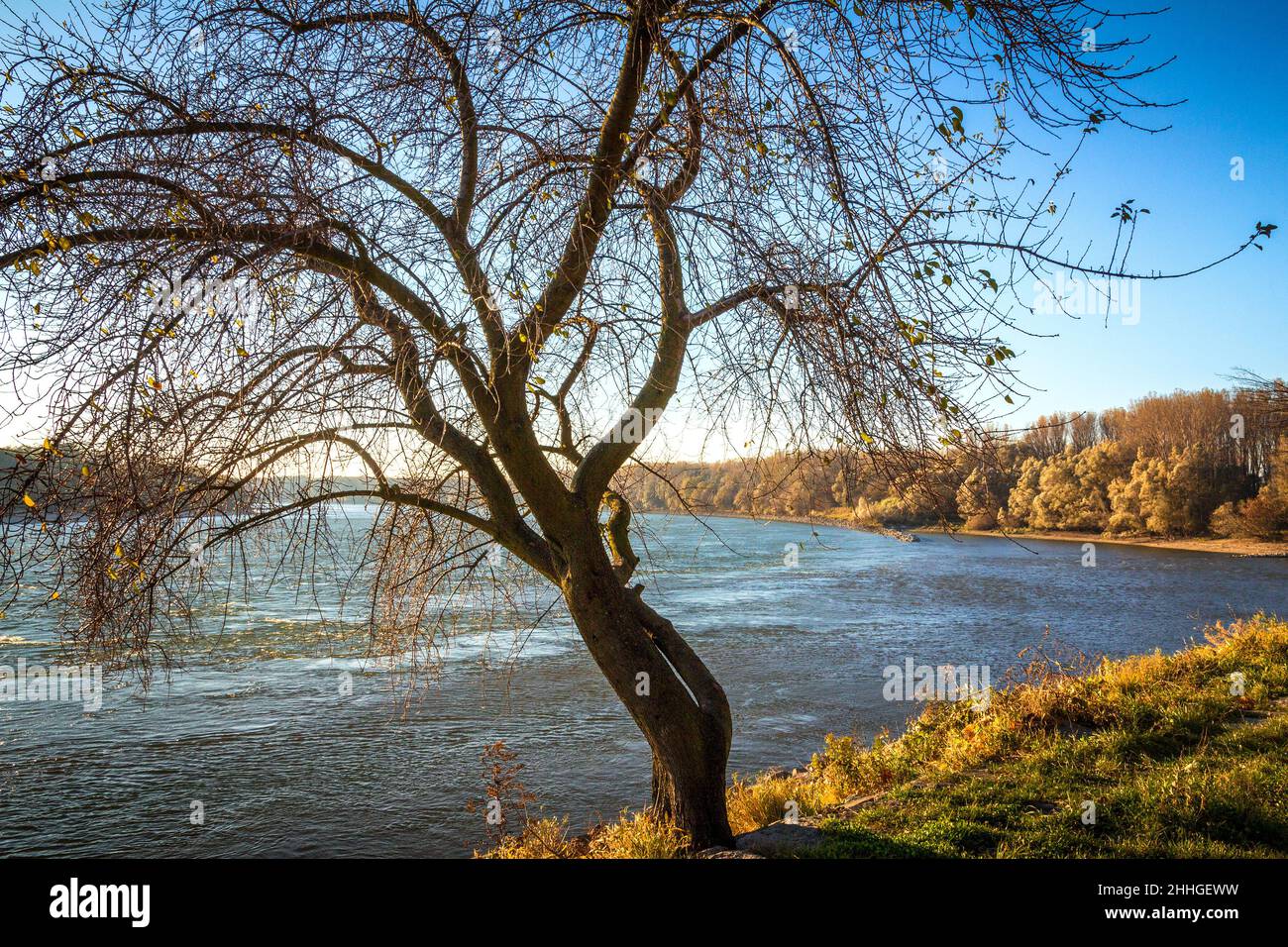 Danube river flows through hi-res stock photography and images - Alamy