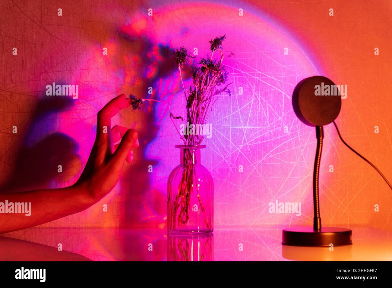 Sunset LED RGB lighting decor. Shadow on surface illuminated by ...