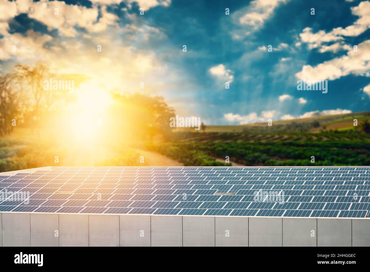 Beautiful Sunset Over Solar Panel Photovoltaic Company Building Farm ...