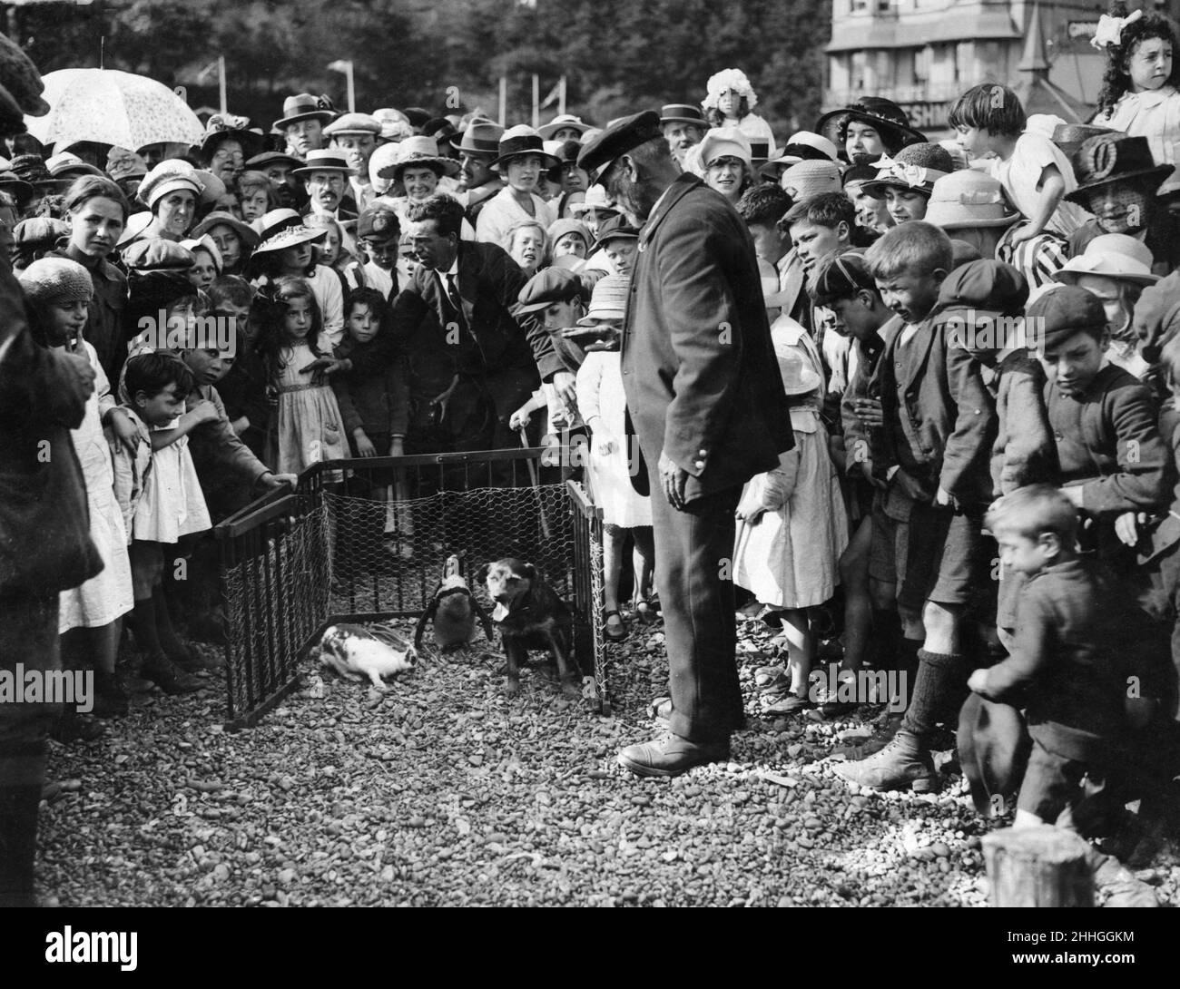 Pip squeak and wilfred cartoon hi-res stock photography and images - Alamy