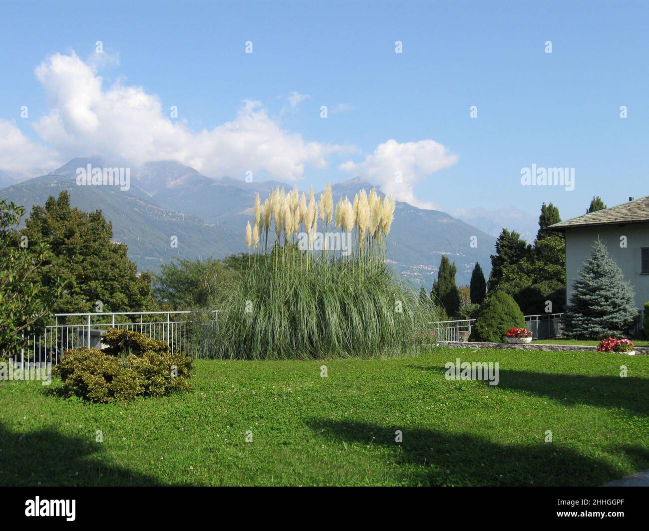 Colico lago hi-res stock photography and images - Alamy