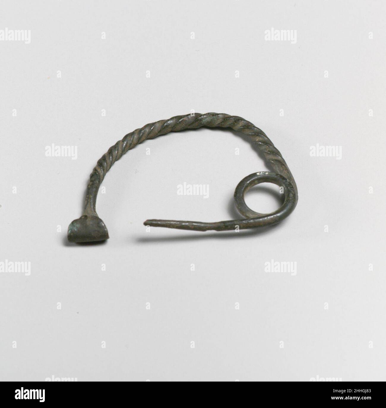 Fibula type hi-res stock photography and images - Alamy
