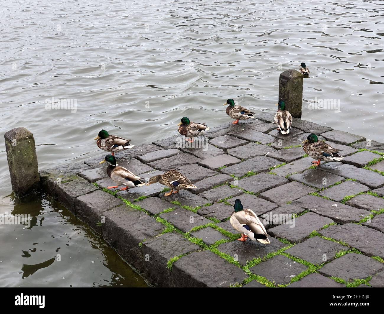 Stone pier hi-res stock photography and images - Alamy