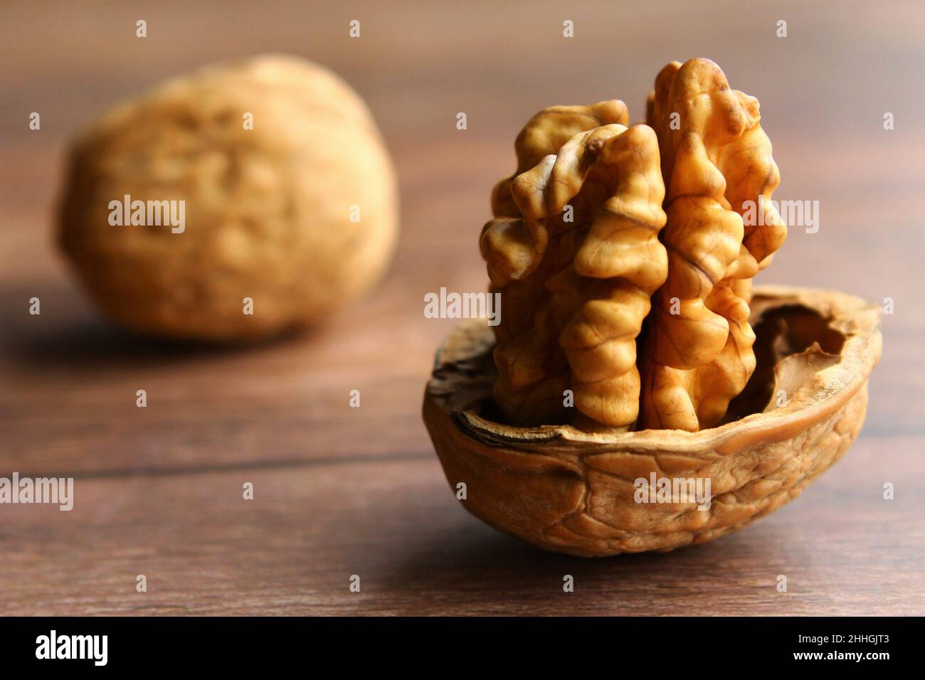 Close up walnut brain on walnut shell. stock photo front view Stock ...