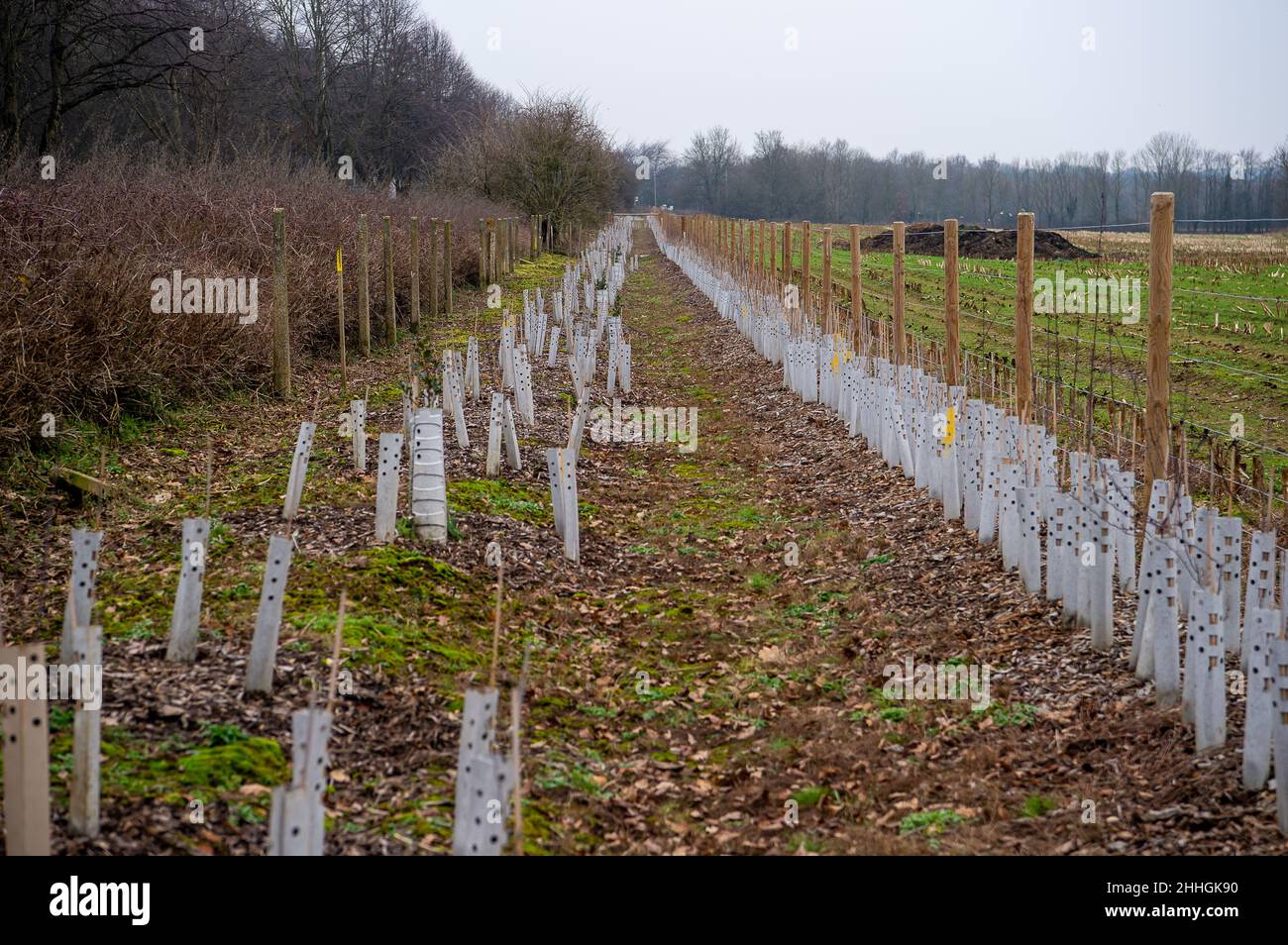 Hs2 costing the earth hi-res stock photography and images - Alamy