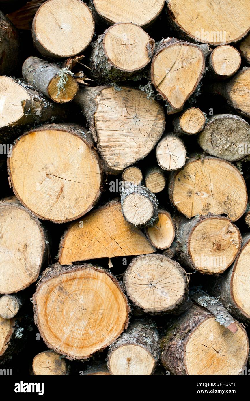Logs stacked and sorted hi-res stock photography and images - Alamy