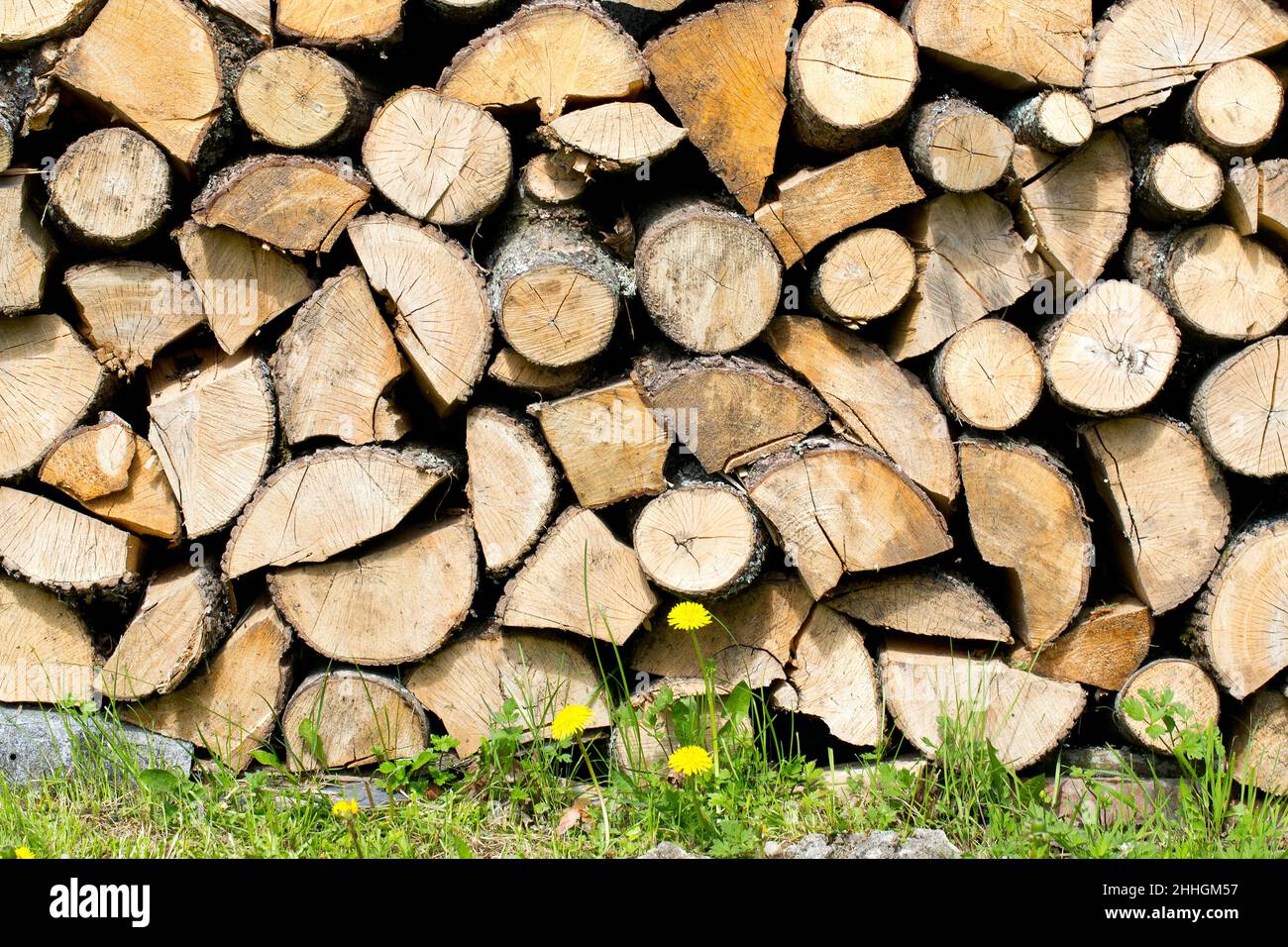 Logs stacked and sorted hi-res stock photography and images - Alamy