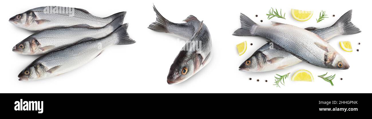 Sea bass fich isolated on white background. Top view. Flat lay. Set or ...