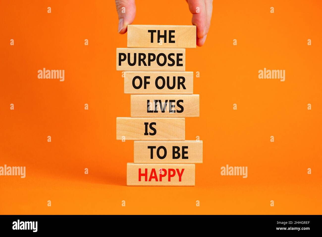 Purpose of happy lives symbol. Wooden blocks with words The purpose of ...