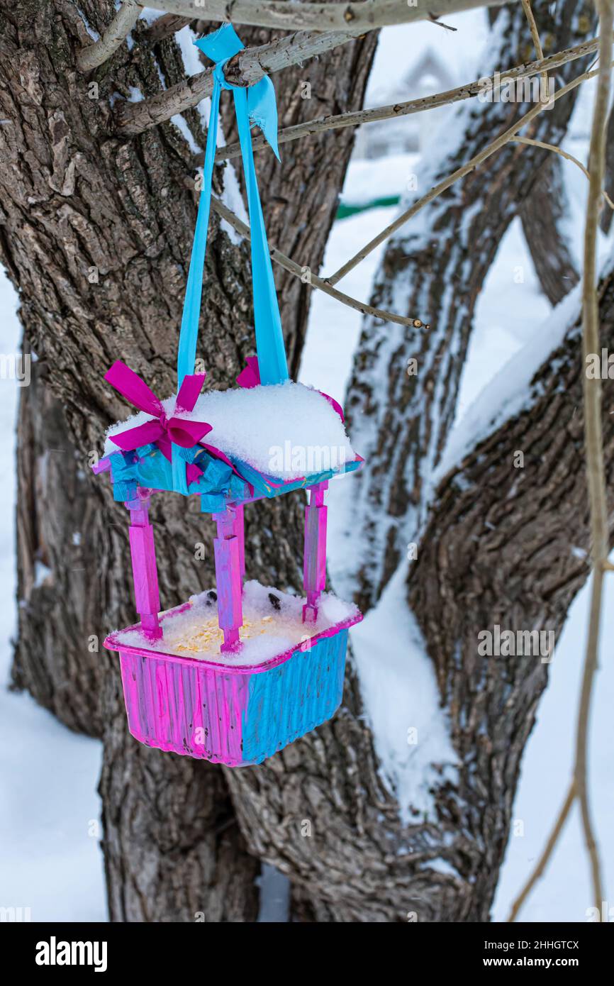 homemade bird feeder in bright color hanging on a tree in winter. High ...