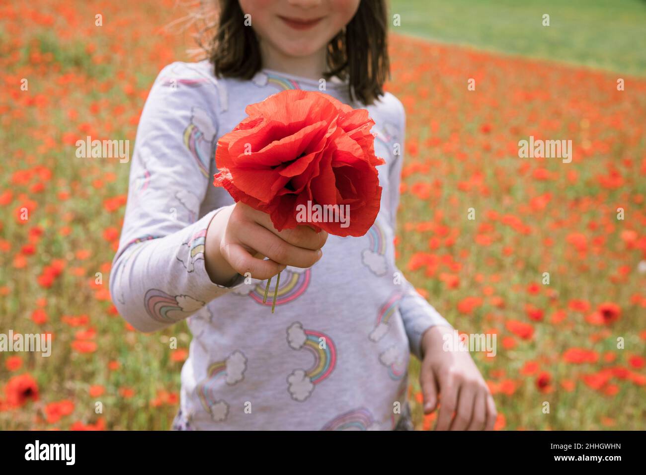 Girl in poppy field hi-res stock photography and images - Alamy