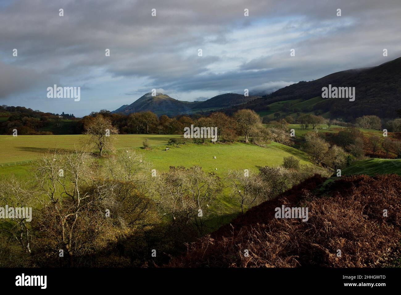 Long mynd landscape hi-res stock photography and images - Alamy