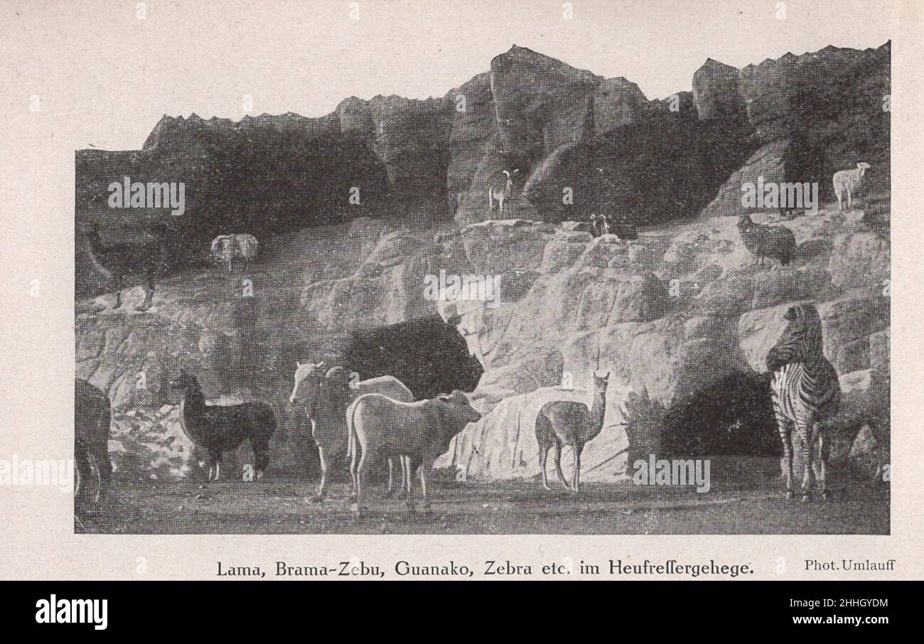 Antique /vintage historical Imagines / Pictures of full prospect ...