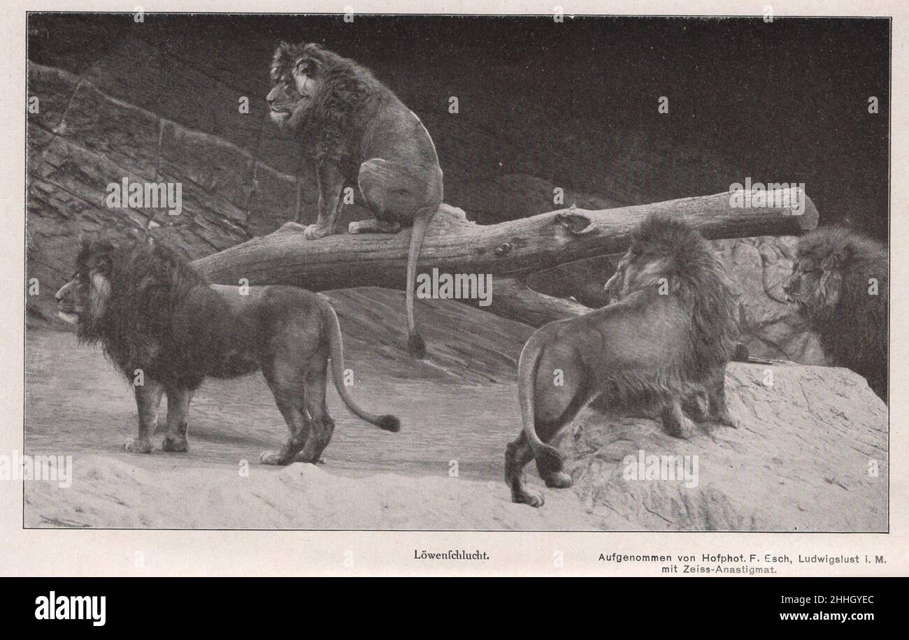 Antique /vintage historical Imagines / Pictures of full prospect ...