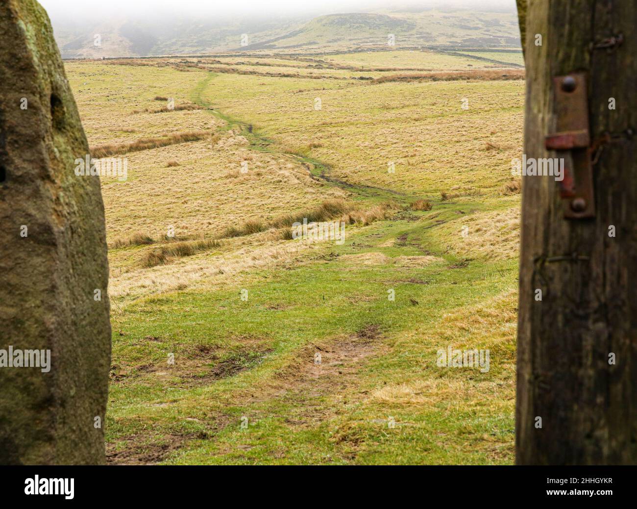 A grassy walking path cutting through the undulations of the Peak ...