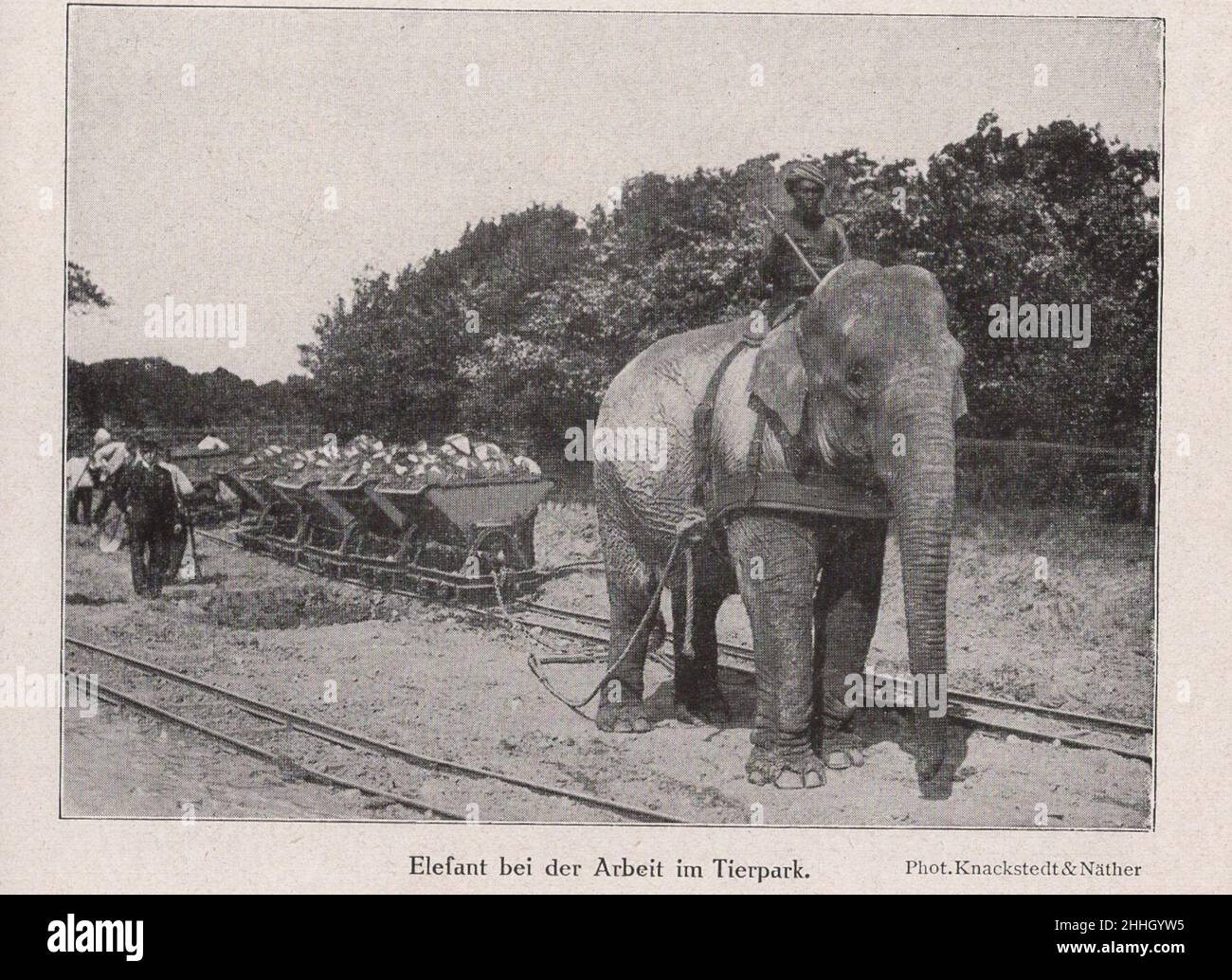 Antique /vintage historical Imagines / Pictures of full prospect ...
