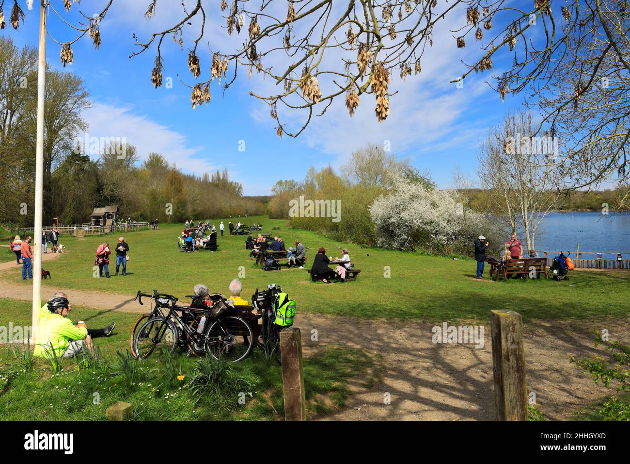 Summer view over the Harrold Odell Country Park Lake, Harrold village ...