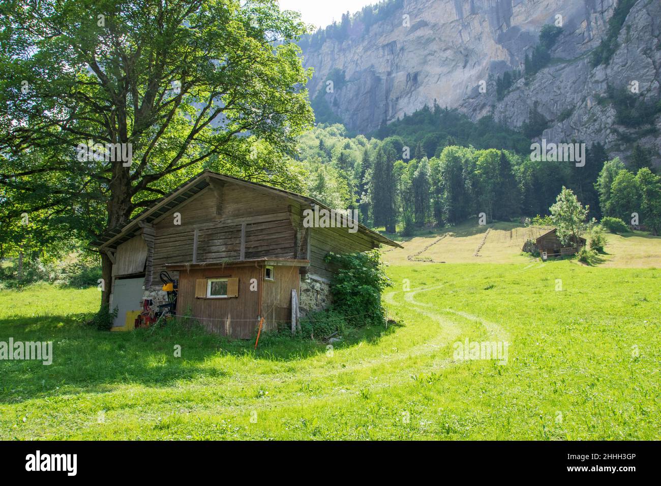 Small old hut settling in the middle of green landscape and forest in ...
