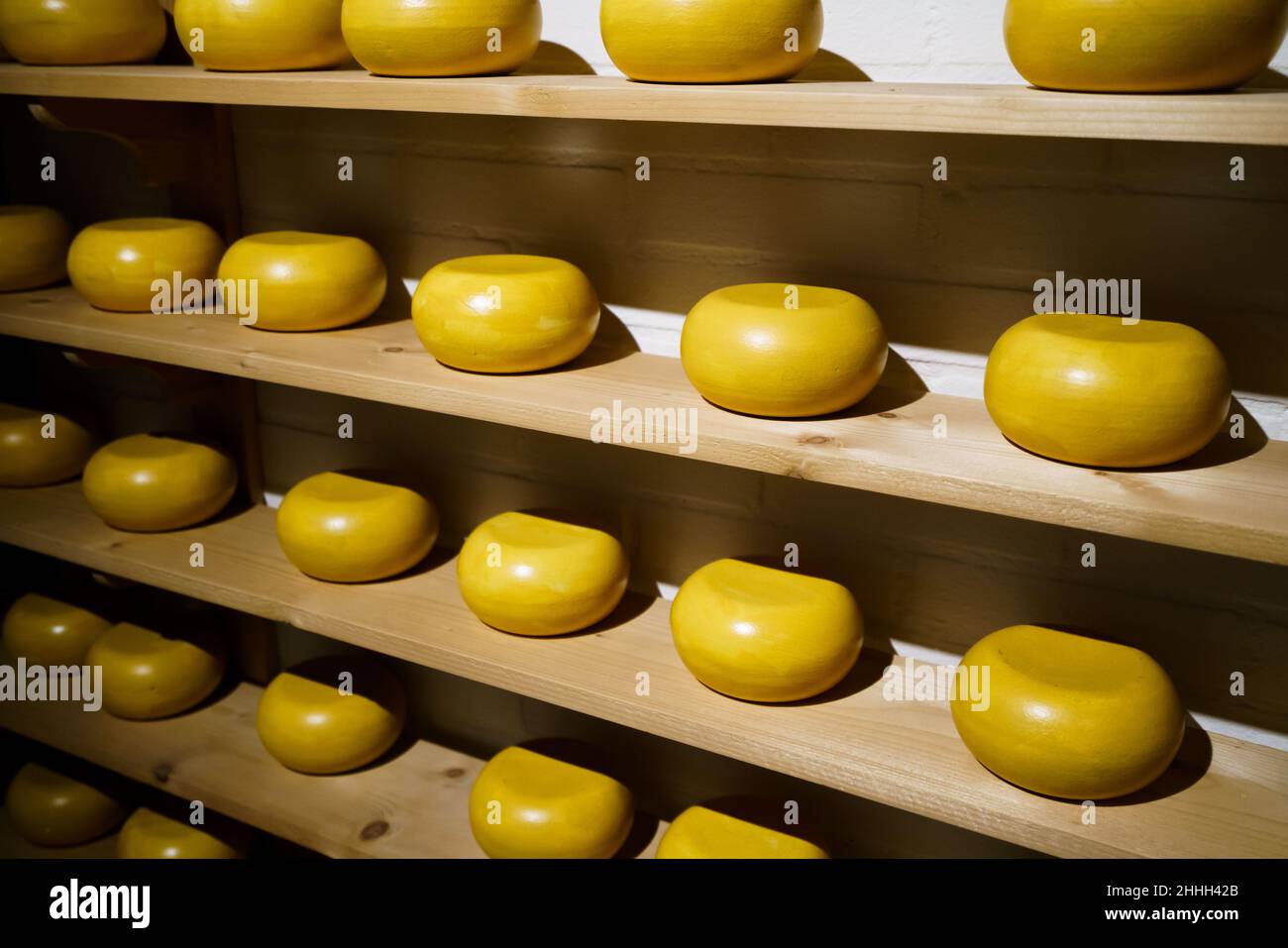 Cheese shop display. Farmer cheese. Cheese wheels in store Stock Photo ...