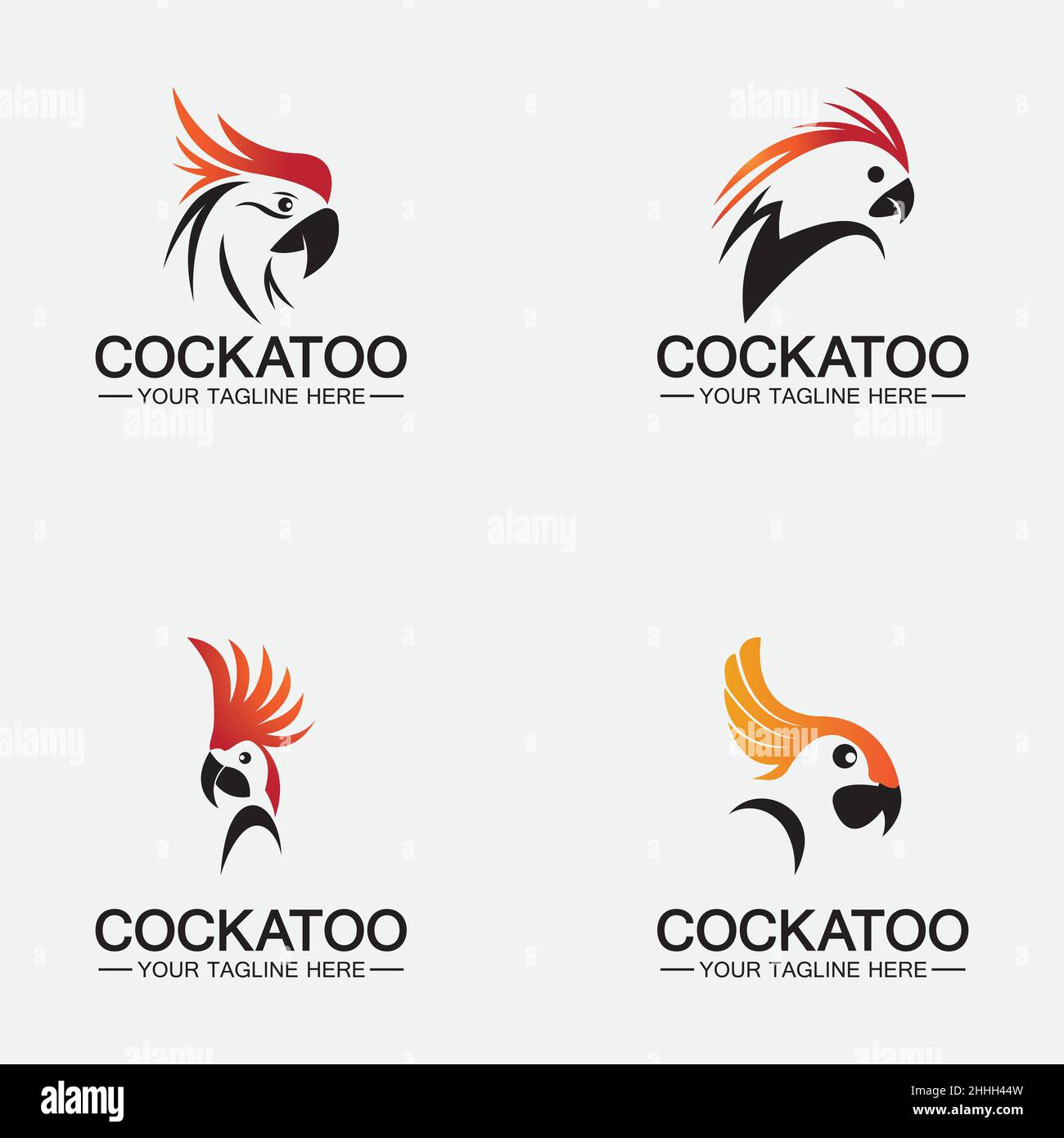 Set Cockatoo Parrot Bird logo design vector template Stock Vector Image ...