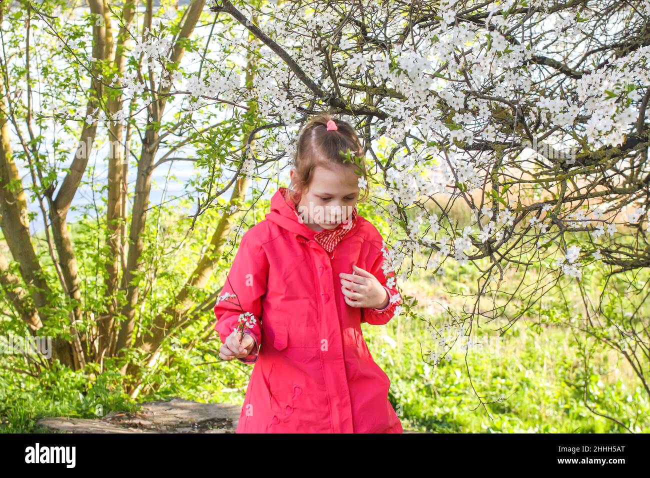Adorable little girl walking in spring park with beautyful blooming ...