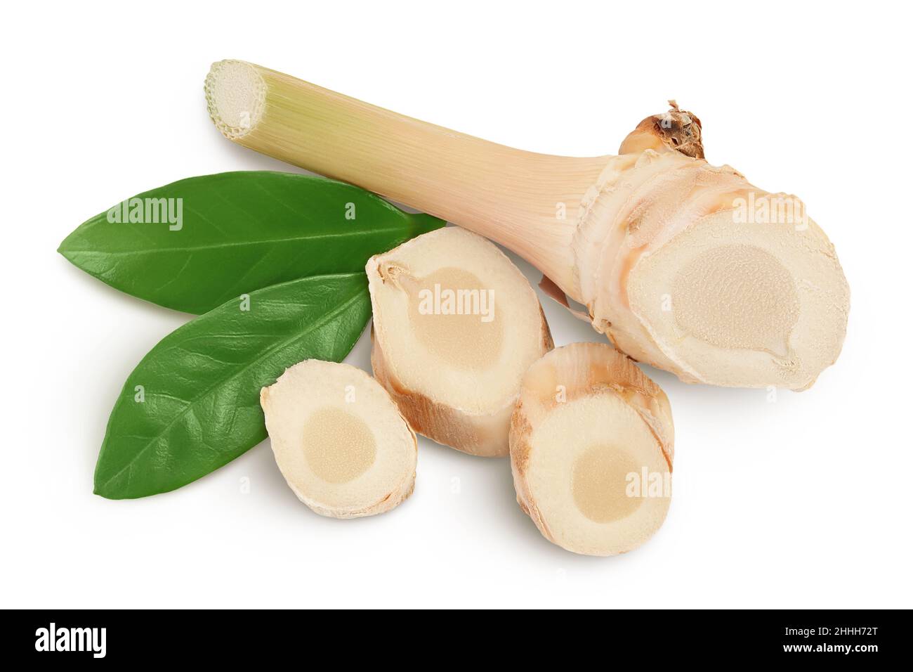 Fresh galangal root with slices isolated on white background with ...