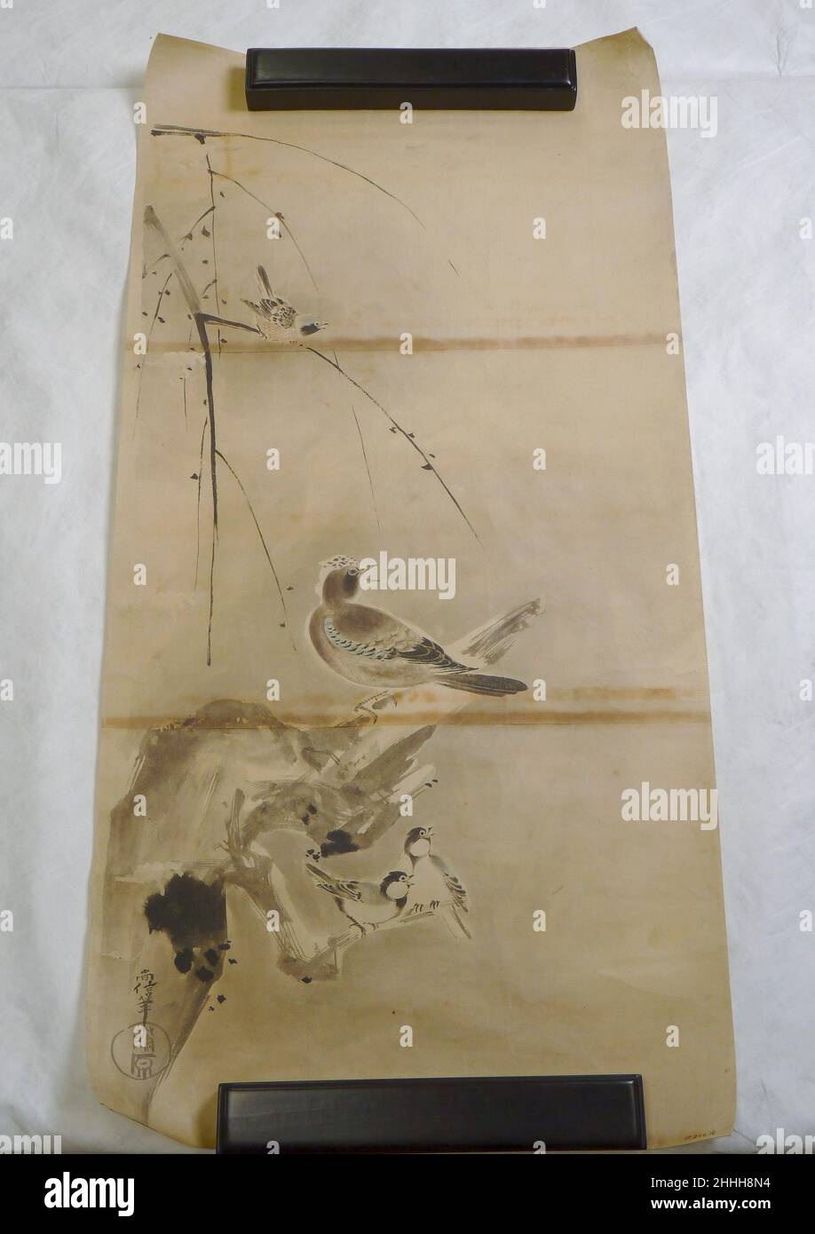 Japanese Drawing early 19th century After Kano Naonobu Birds on a tree ...