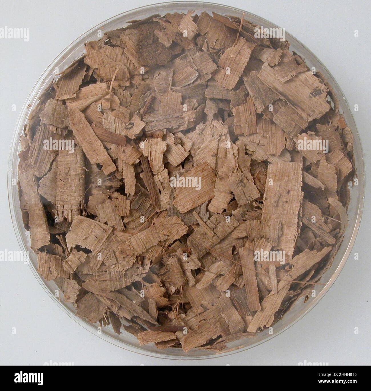 Papyri Fragments 7th century Coptic. Papyri Fragments. Coptic. 7th ...