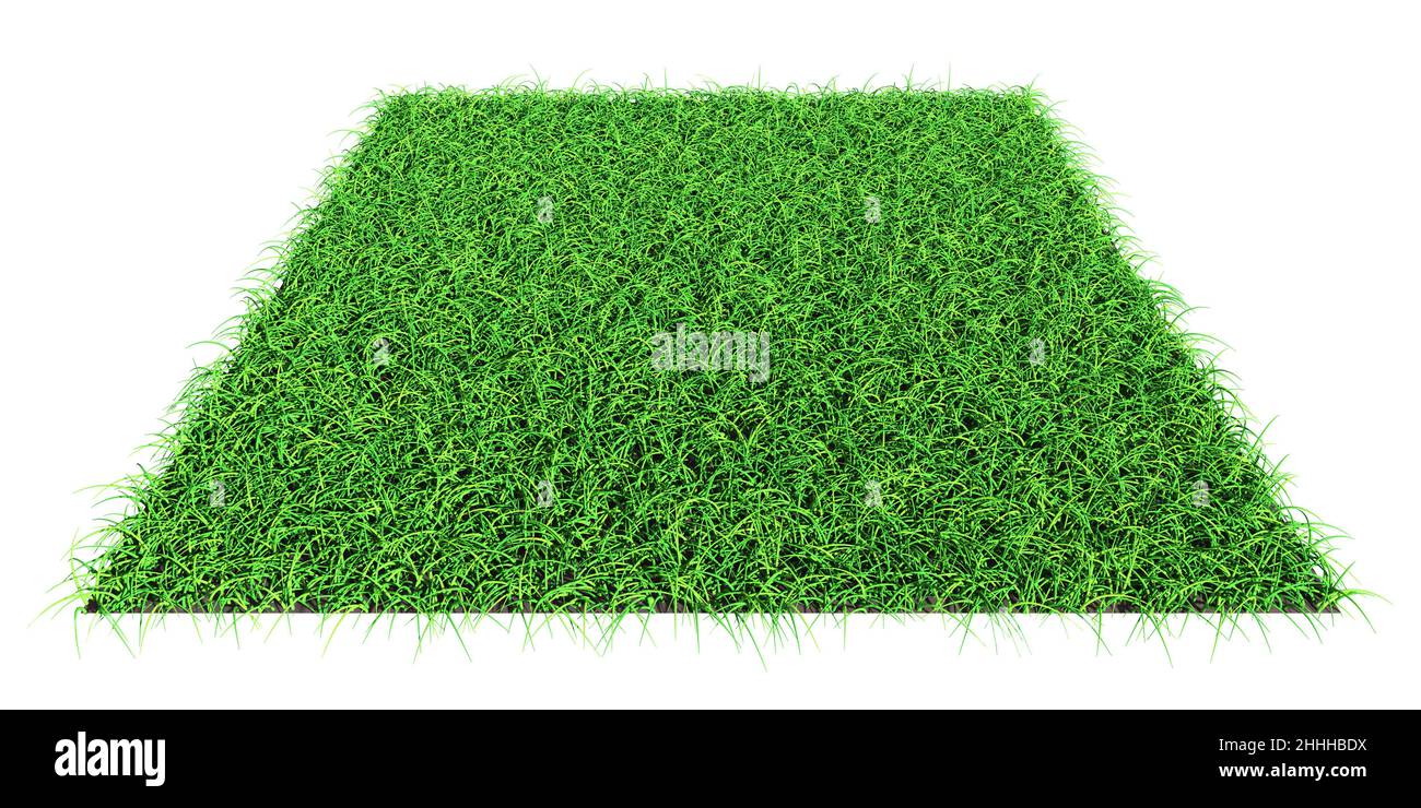 Grass texture perspective hi-res stock photography and images - Alamy