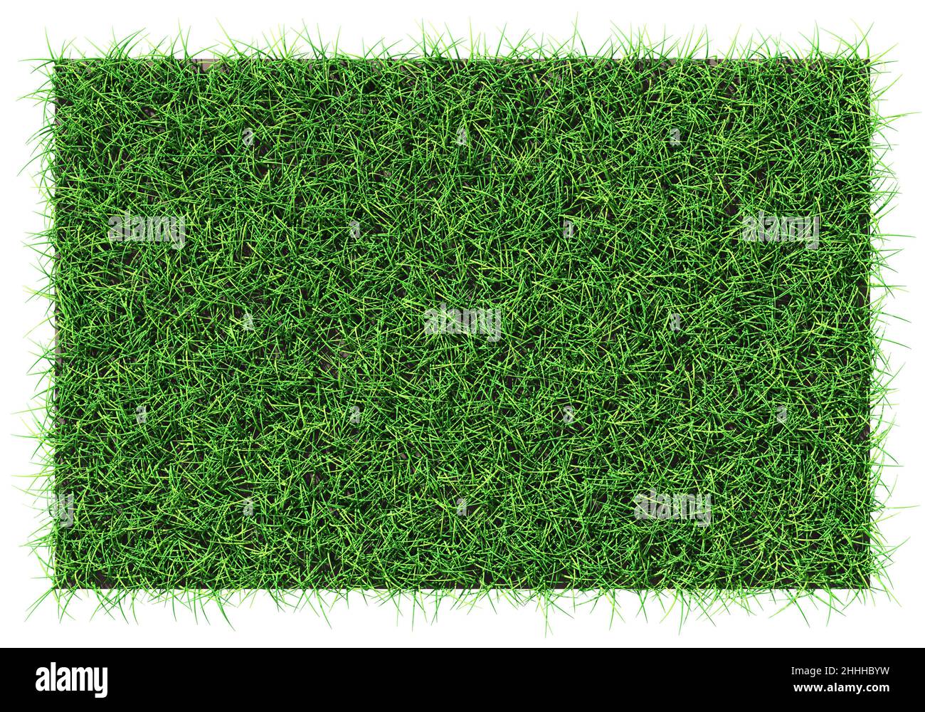 Grass shape - design element isolated - 3d rendering Stock Photo - Alamy