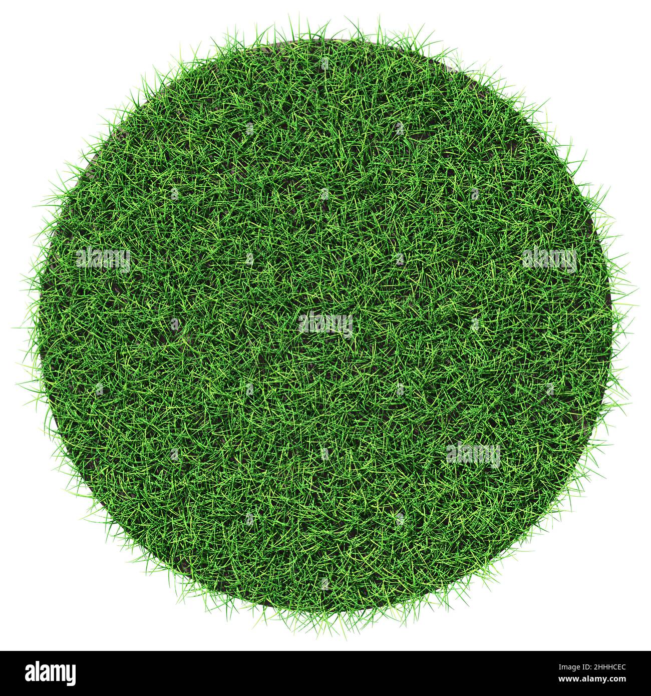 Grass shape - design element isolated - 3d rendering Stock Photo - Alamy