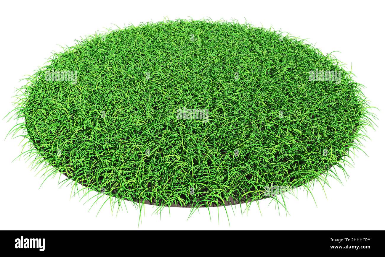 Grass shape - design element isolated - 3d rendering Stock Photo - Alamy