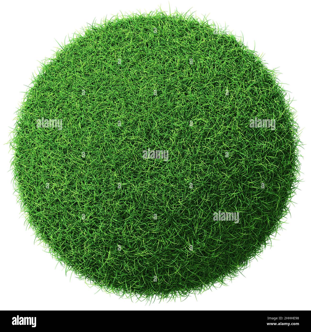 High resolution green grass background Cut Out Stock Images & Pictures ...