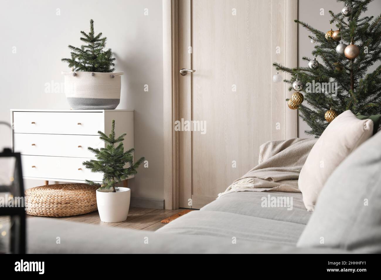 Beautiful christmas trees sofa hi-res stock photography and images - Alamy