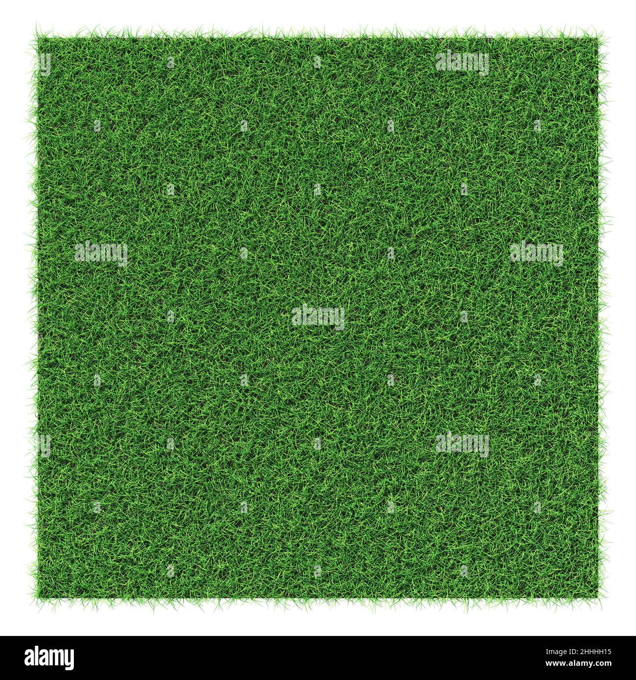 Grass shape - design element isolated - 3d rendering Stock Photo - Alamy