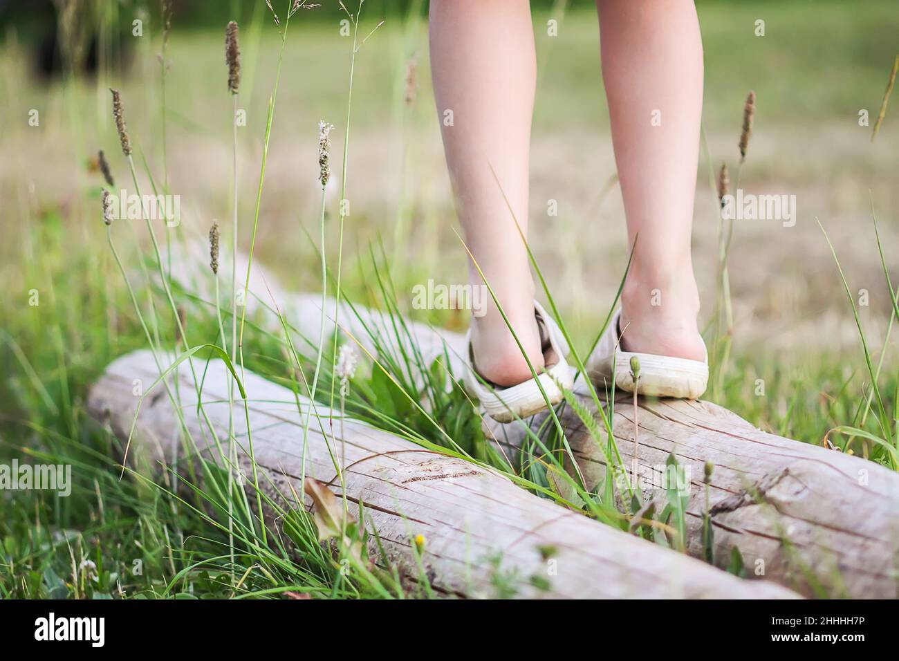 Little girl balancing on log in summer park. Child's legs and green ...