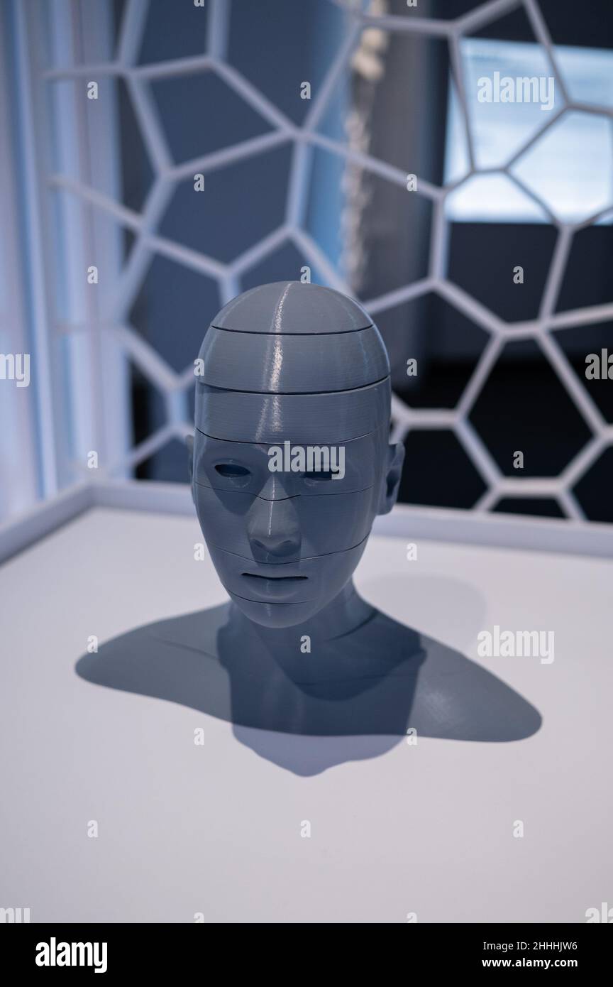 3d Printer Human Model