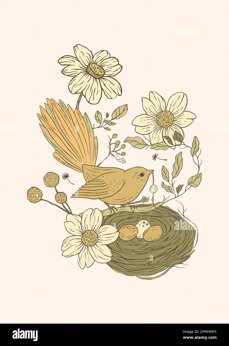 Vintage Bird Nest Illustration