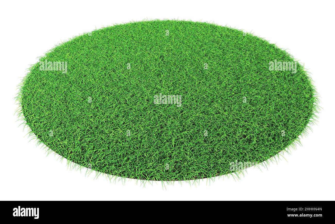 Grass shape - design element isolated - 3d rendering Stock Photo - Alamy