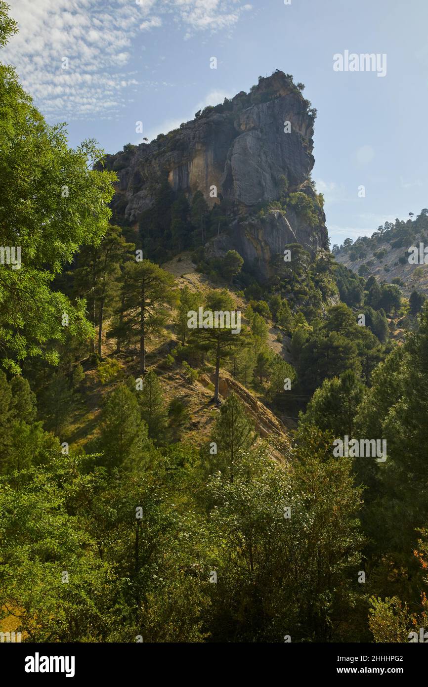 landscape at the borosa river trail Stock Photo - Alamy