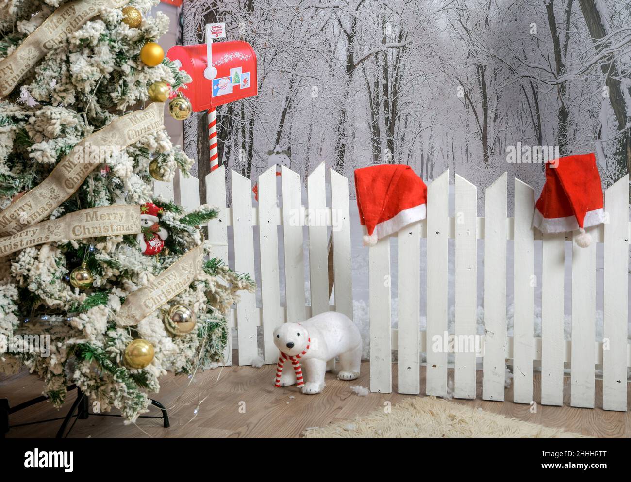 Snowy photo session hi-res stock photography and images - Alamy