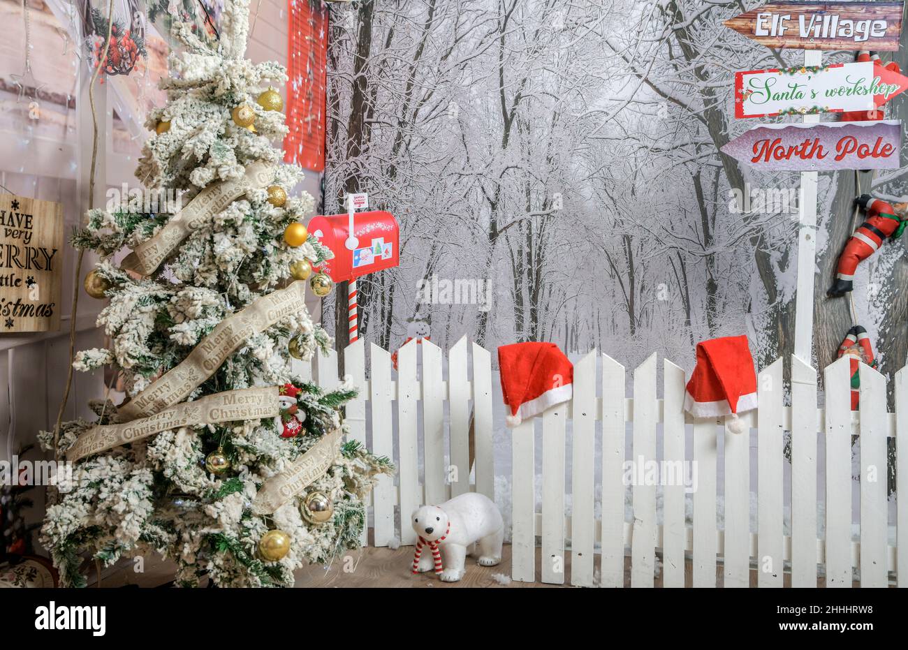 Winter Christmas scenic. New Year's winter scenery in the studio ...