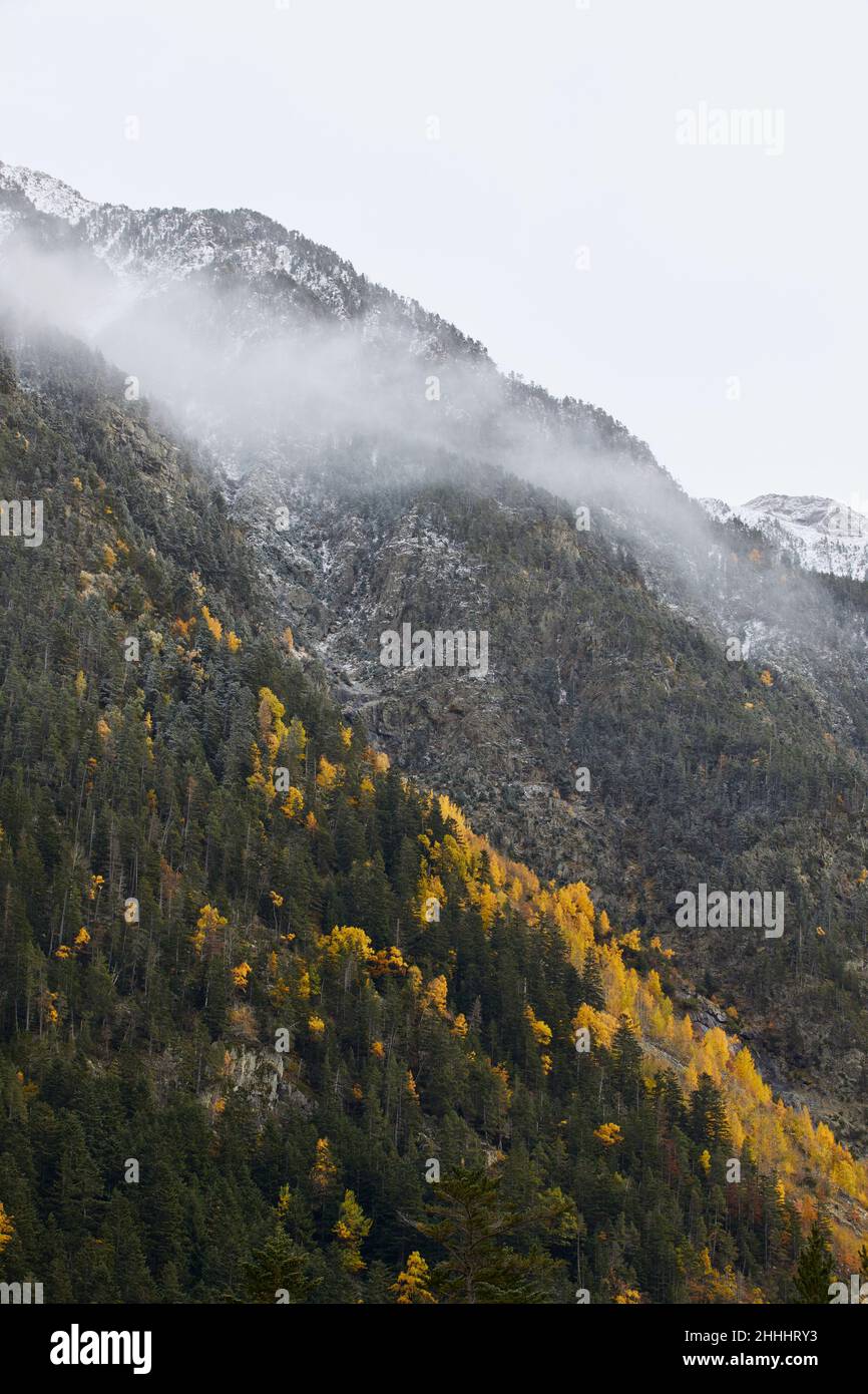 Parque Natural Posets Maladeta (Pirineo de Huesca) Spain Stock Photo ...