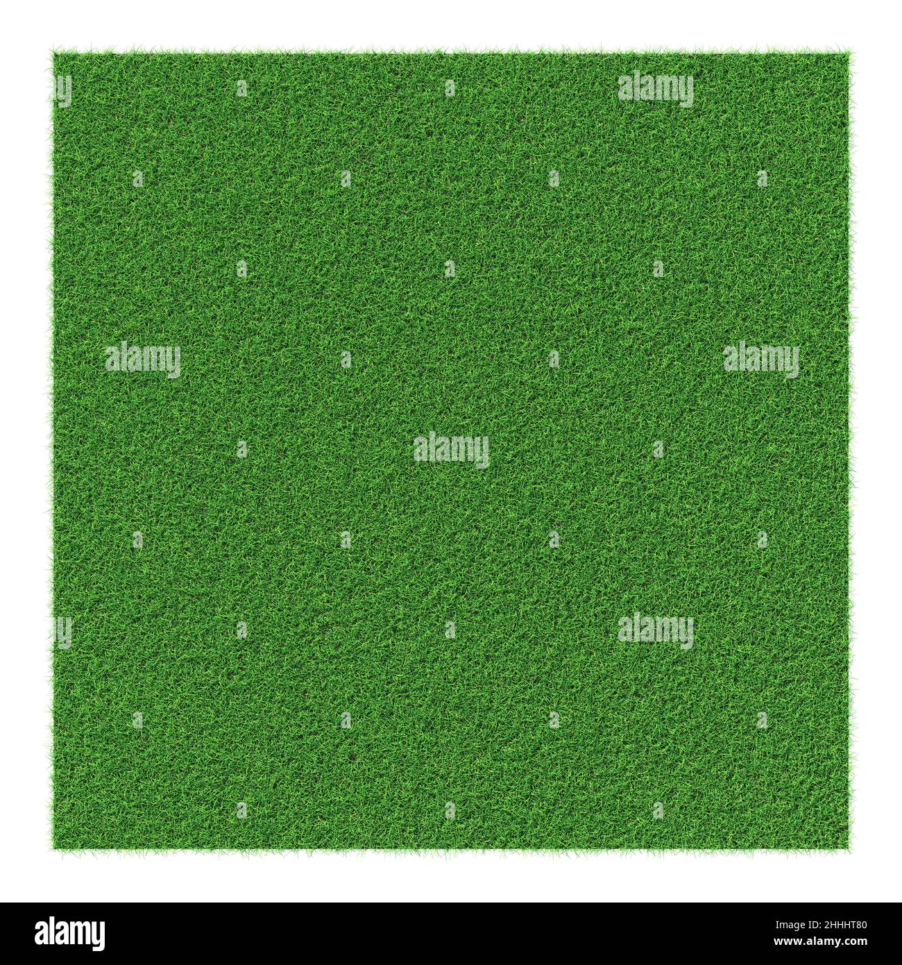 Grass shape - design element isolated - 3d rendering Stock Photo - Alamy