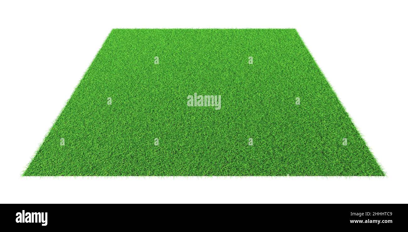 Grass shape - design element isolated - 3d rendering Stock Photo - Alamy