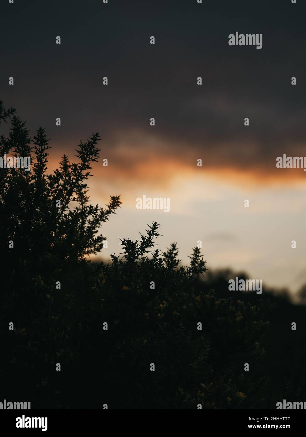 Welsh mountain background hi-res stock photography and images - Alamy